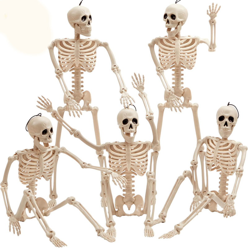 The Holiday Aisle® 5 PCS Posable Halloween Skeletons 16 Inches Full ...