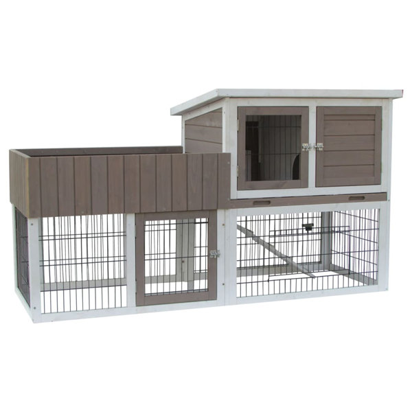 Archie & Oscar Beale Rabbit Hutch | Wayfair.co.uk