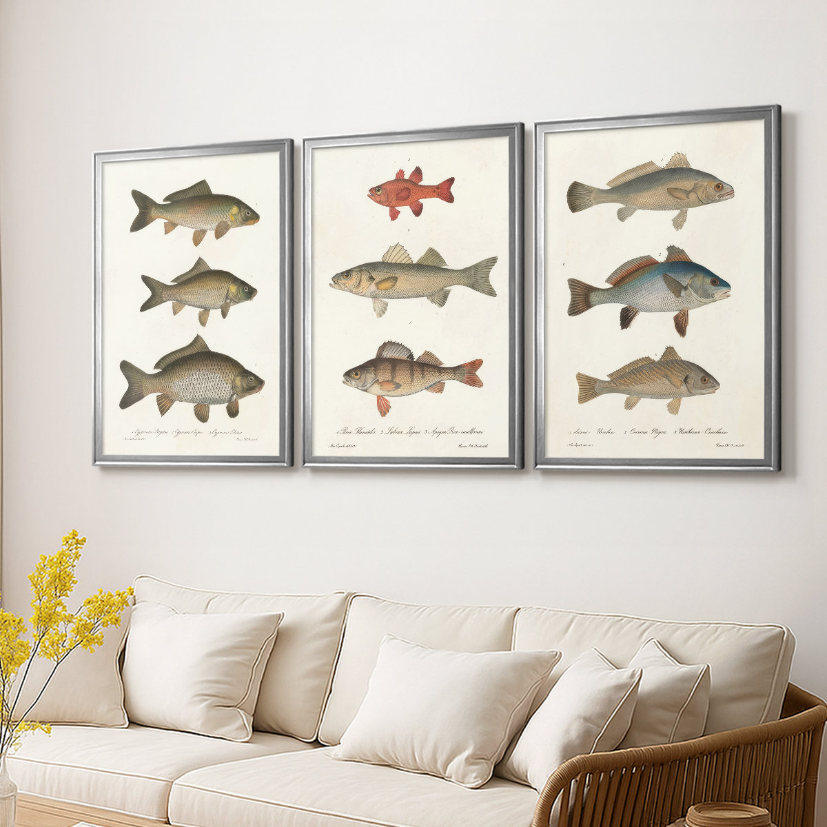 Canora Grey Species of Antique Fish I -Custom Framed Wrapped Gallery ...