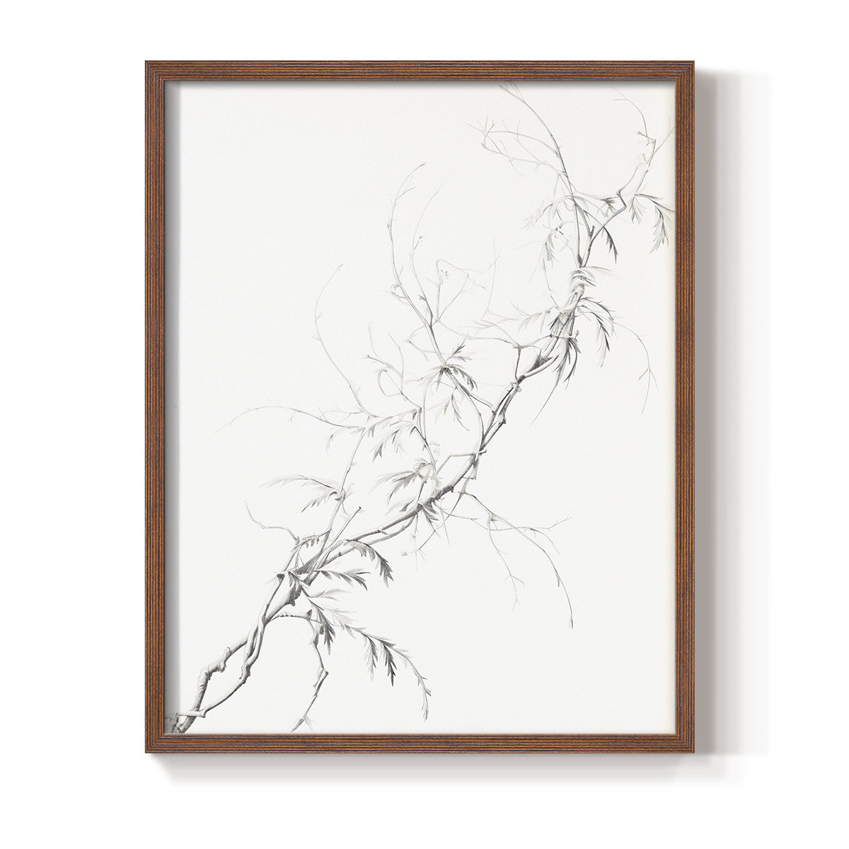 Winston Porter Vintage Floral Print XX -Framed Print | Wayfair