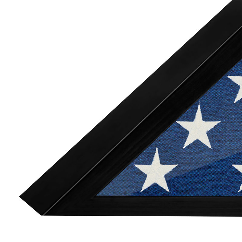 Latitude Run® Flag Display Case Frame, Fits a Folded Flag - Composite ...