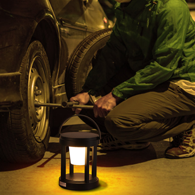 RIDALUX 7.08'' Battery Powered Integrated LED Color Changing Outdoor ...