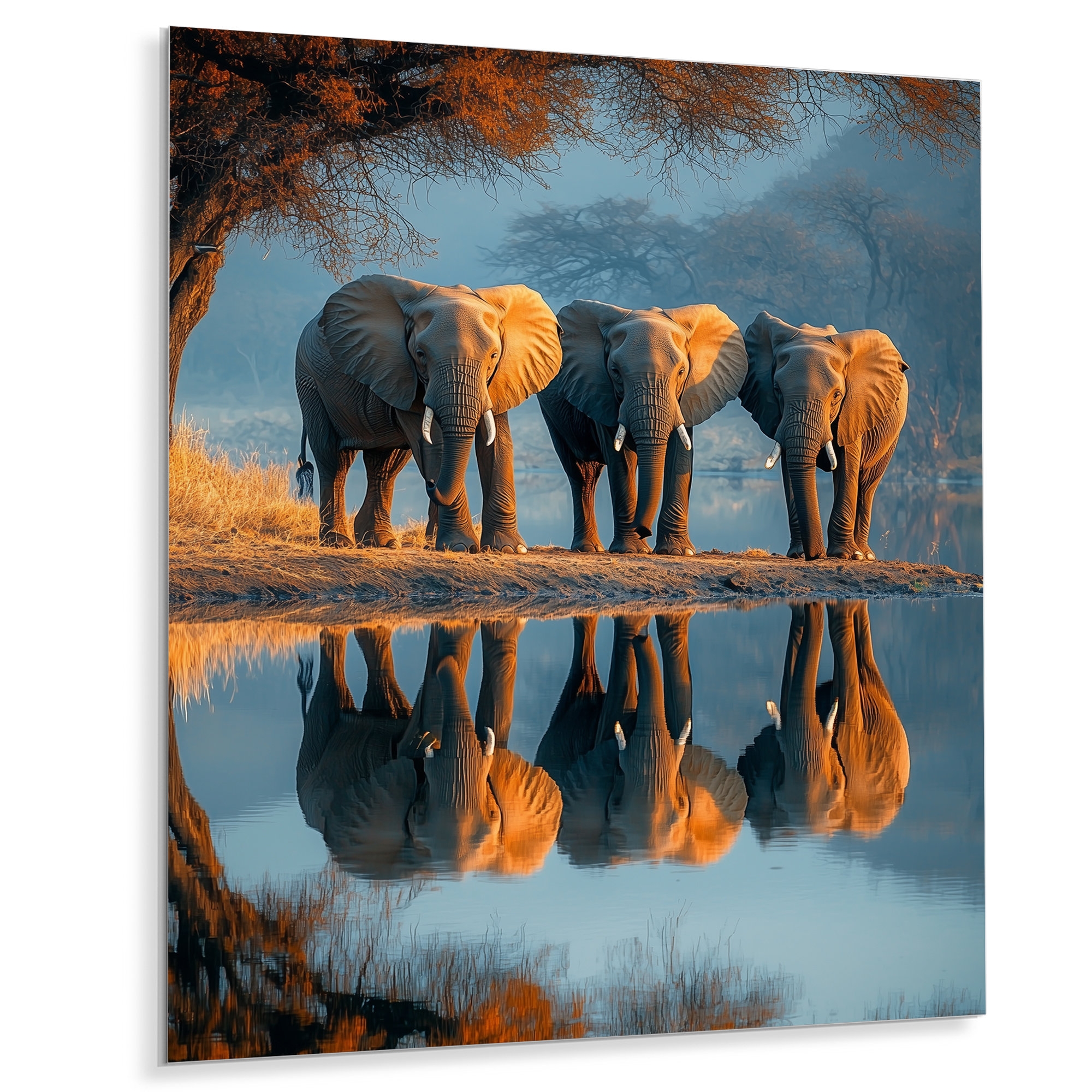 Bungalow Rose Liptak - Elephant Metal Print Wall Art | Wayfair
