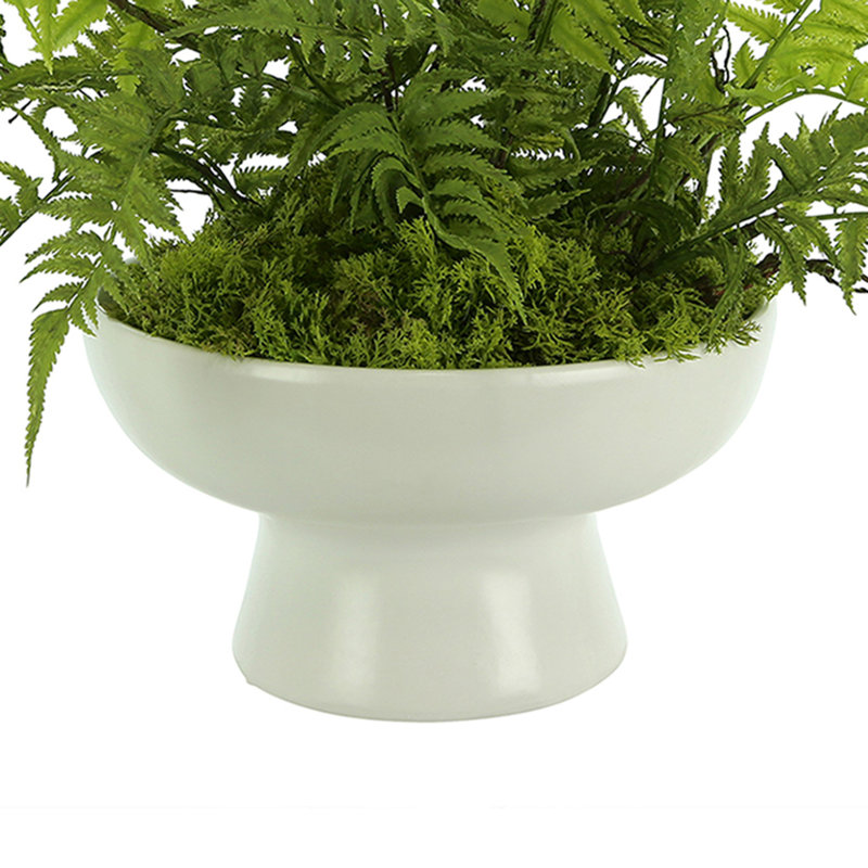 Primrue Mountain Fern and Moss Arrangement | Wayfair