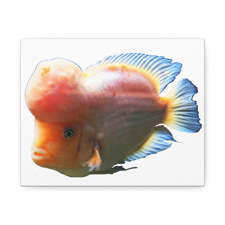 Rosecliff Heights Orange Fish On Canvas Illustration | Wayfair