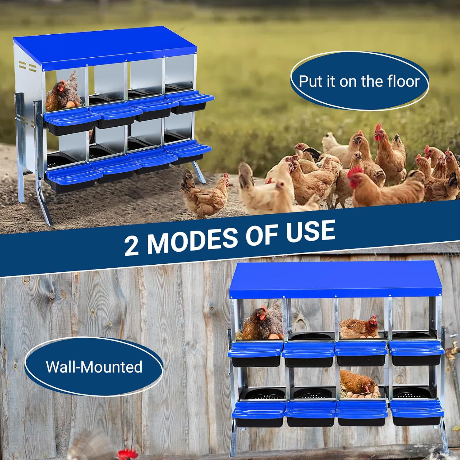 Ophelia & Co. Nesting Boxes for Chickens, 8 Compartments with Legs ...