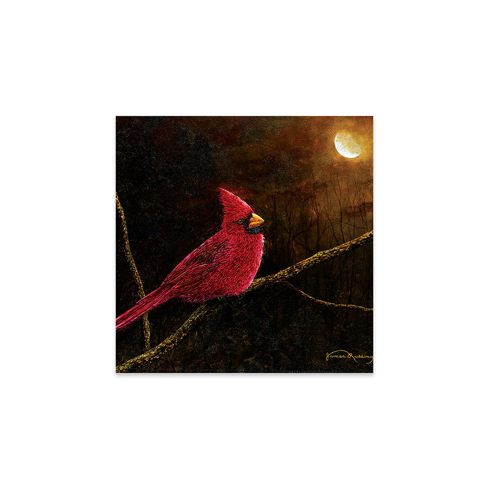 The Holiday Aisle® Cardinal In The Moonlight Print On Acrylic Glass ...