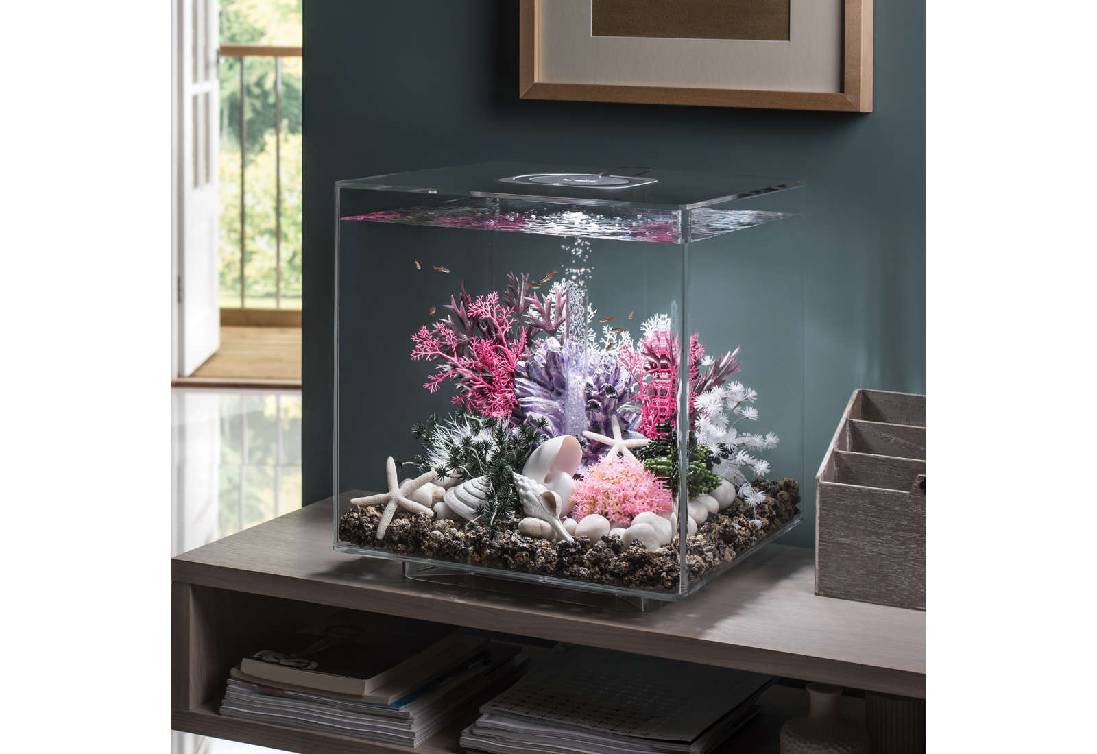 Fish Tank Sizes & Types: How to Choose the Right Aquarium | Wayfair
