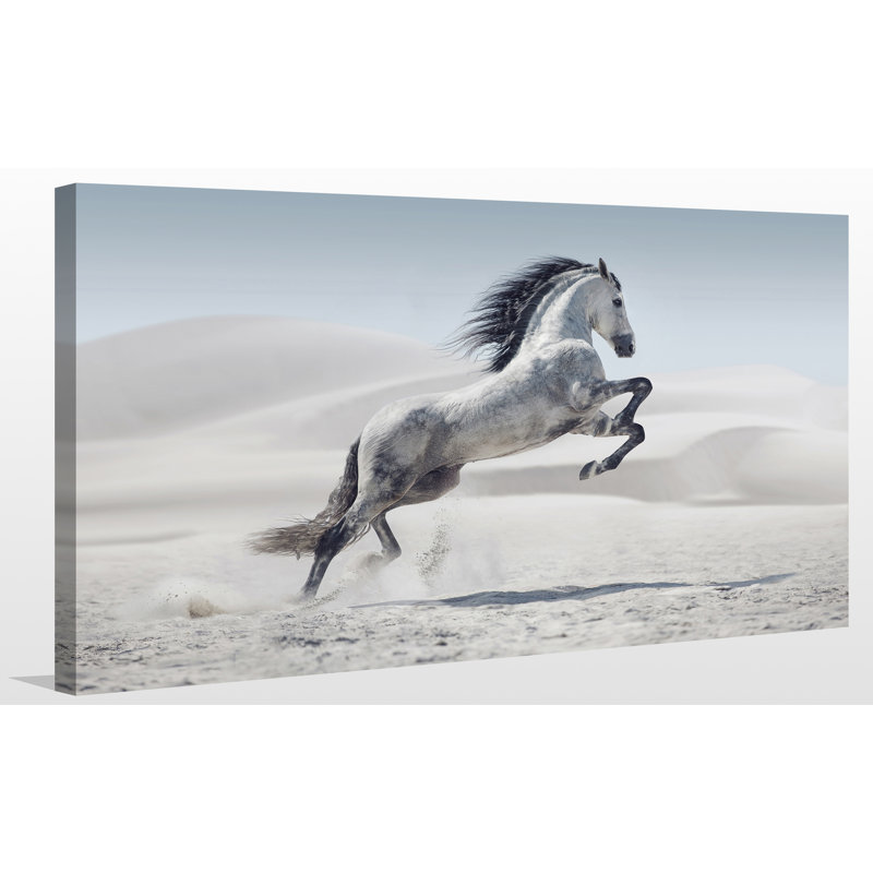 Picture Perfect International 'The Winter Stallion' Photographic Print ...