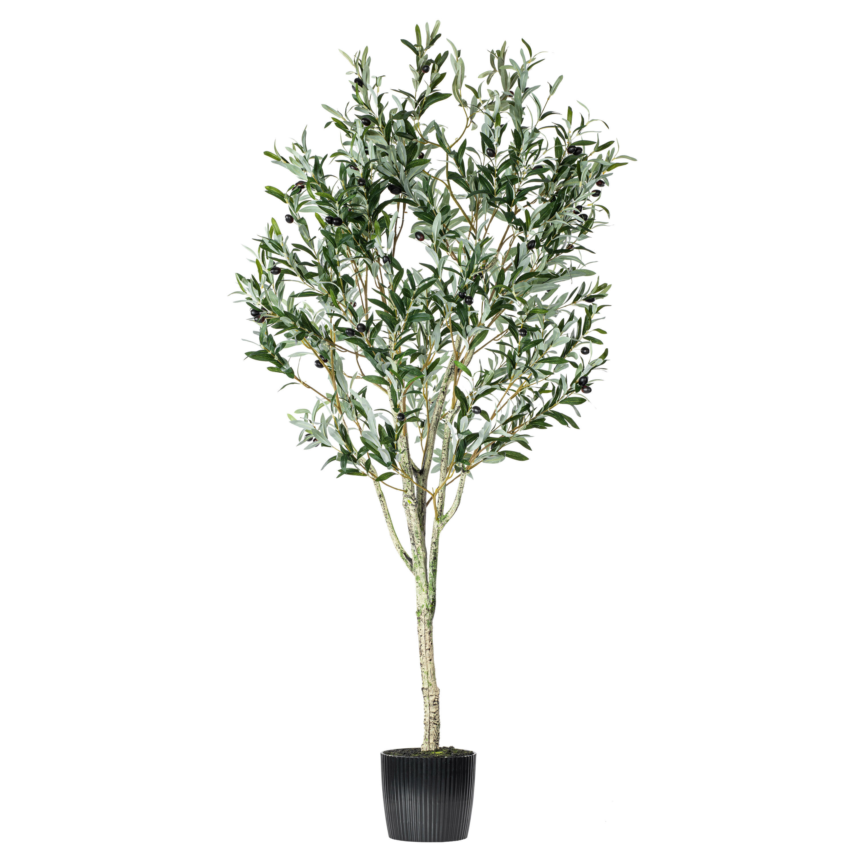 Birch Lane™ Artificial Green Olive Tree in Black Planters Pot & Reviews ...