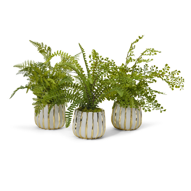 T&C Floral Company 3 - Piece Artificial Fern Plant in Vase Set ...