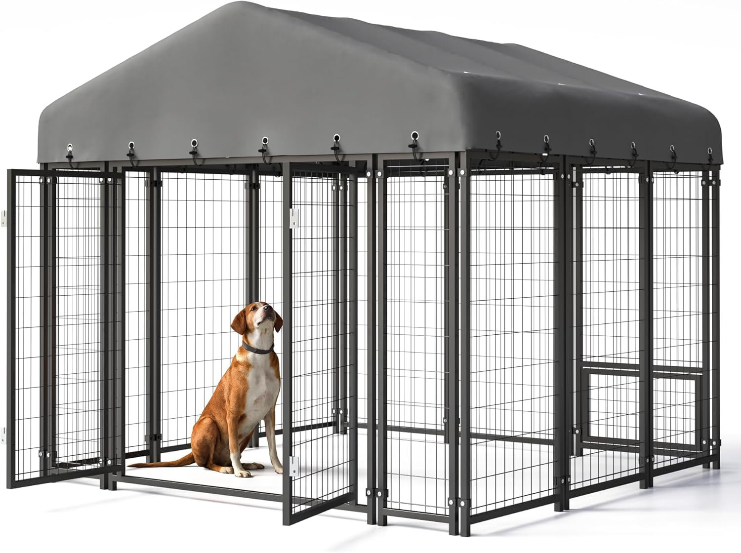 Latitude Run® 6' x 6' Large Outdoor Dog Kennel with Double Swing Doors ...