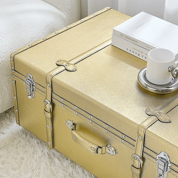 DormCo Texture Brand Trunk - Stone Taupe Raindrops | Wayfair