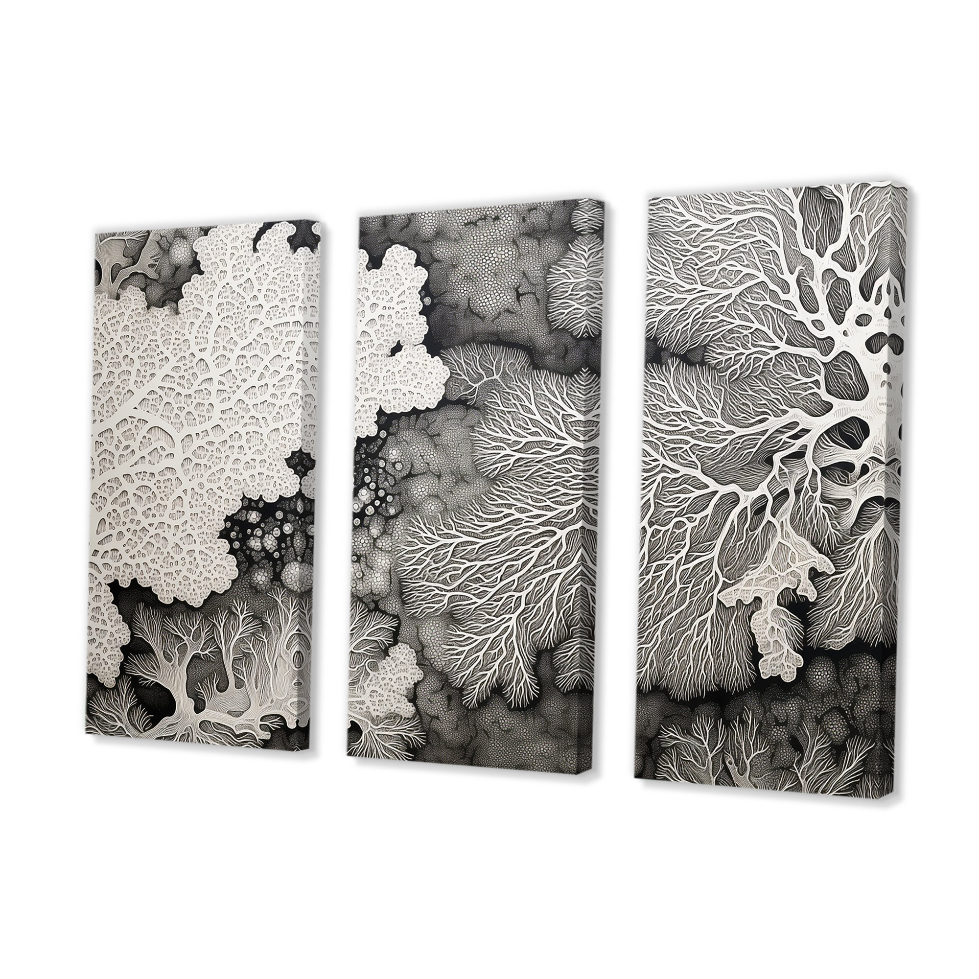 Beachcrest Home Abstract Black And White Corals Reef II - Coastal Coral ...
