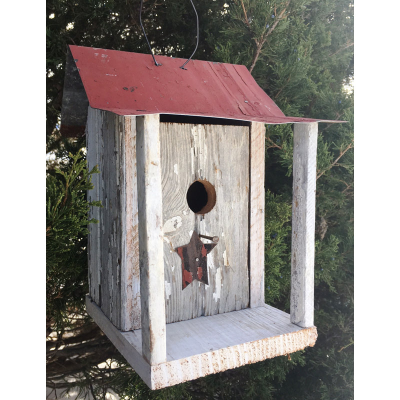 Home Bazaar Bird in Hand Bird Shack 13 in x 7 in x 7 in Birdhouse ...