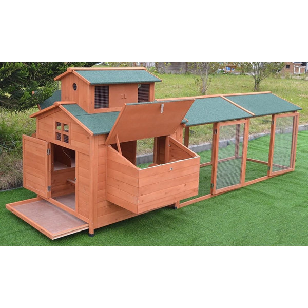 Tucker Murphy Pet™ Analysa Chicken Coop with Chicken Run & Reviews ...