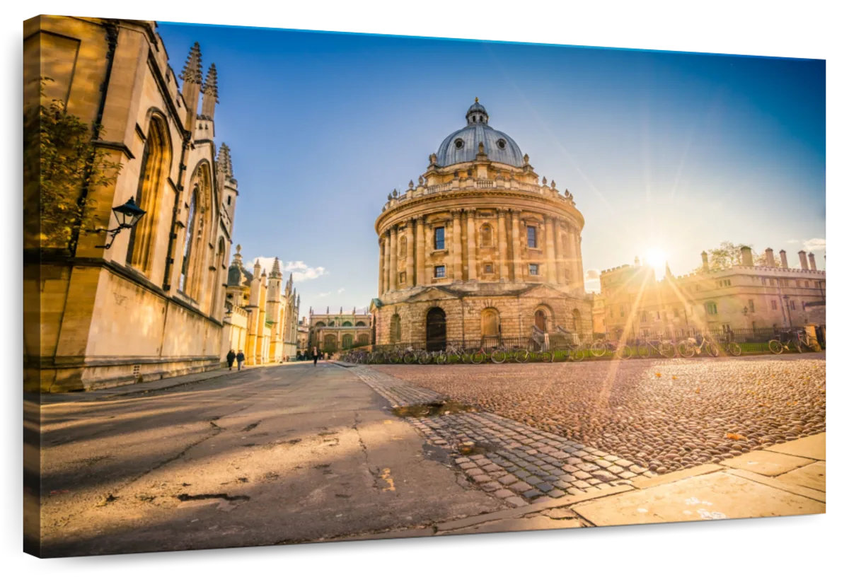Ebern Designs Lilie Sunlit Radcliffe Square | Wayfair