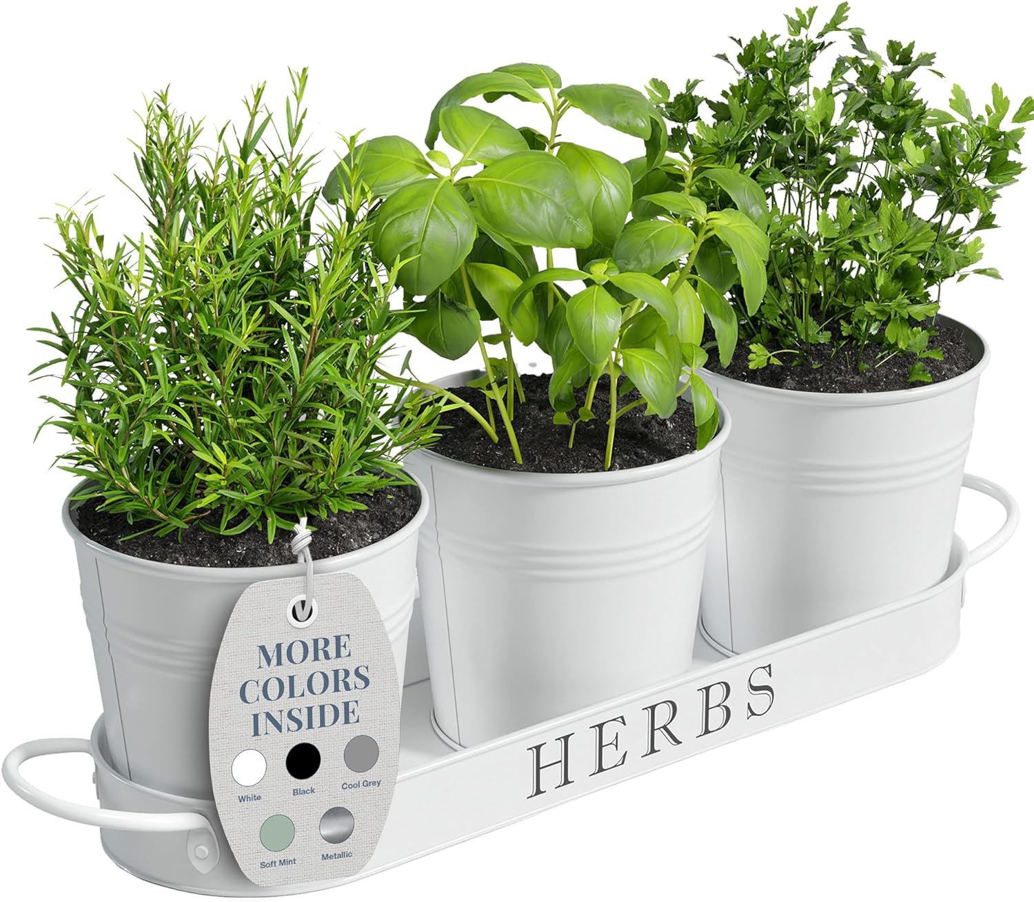 Ophelia & Co. Indoor Herb Garden Planter Set with Tray, Metal ...