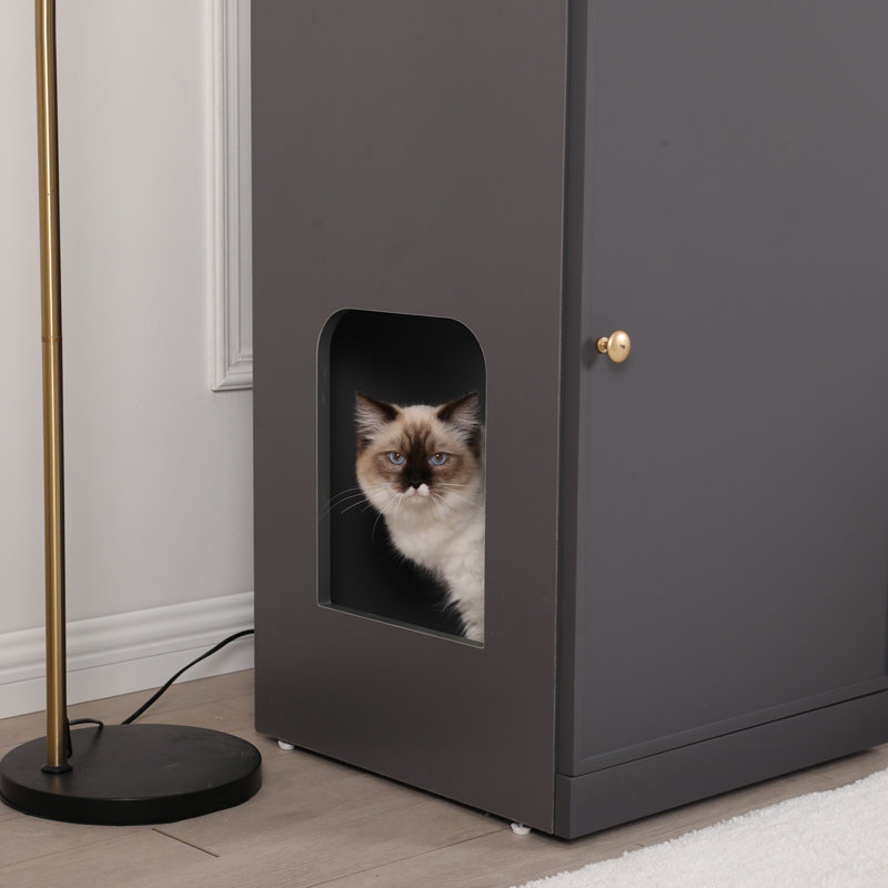 Tucker Murphy Pet™ 20'' Dark Gray Hidden Cat Litter Box Enclosure | Wayfair