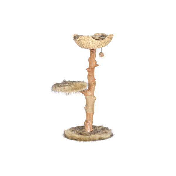 Archie & Oscar™ 43" Lina Cat Tree & Reviews | Wayfair