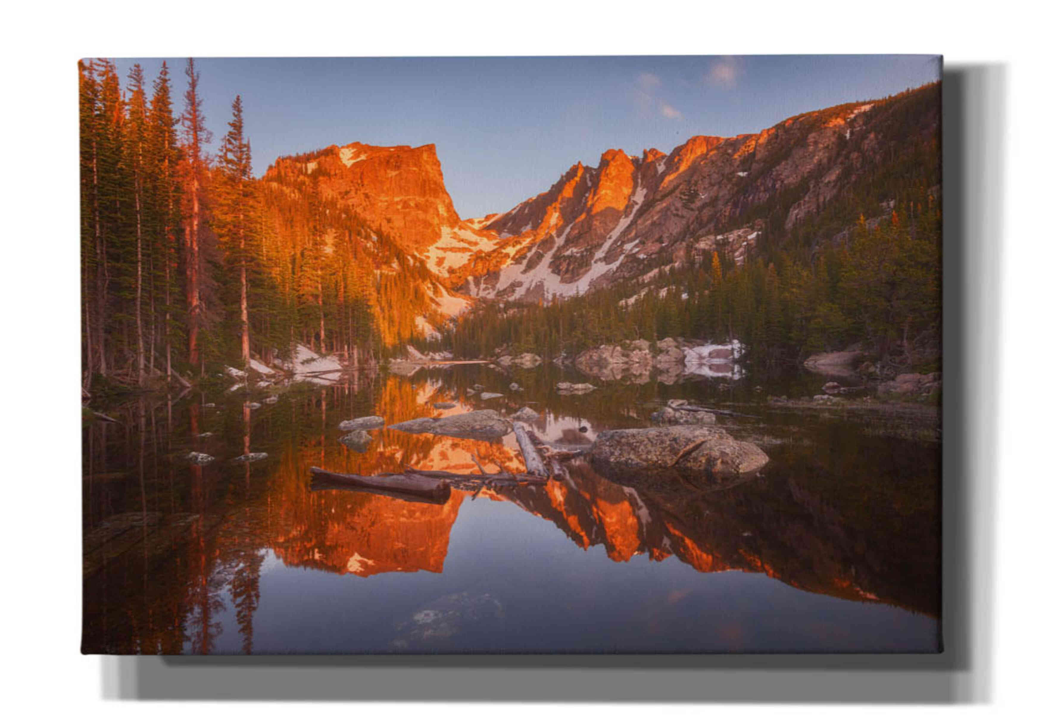 Millwood Pines Magic Morning Light Rocky Mountain National Park ...