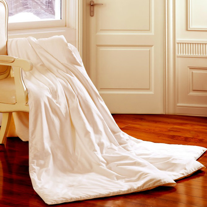 Silk Camel Luxury Allergy Free Single Comforter - Wayfair Canada