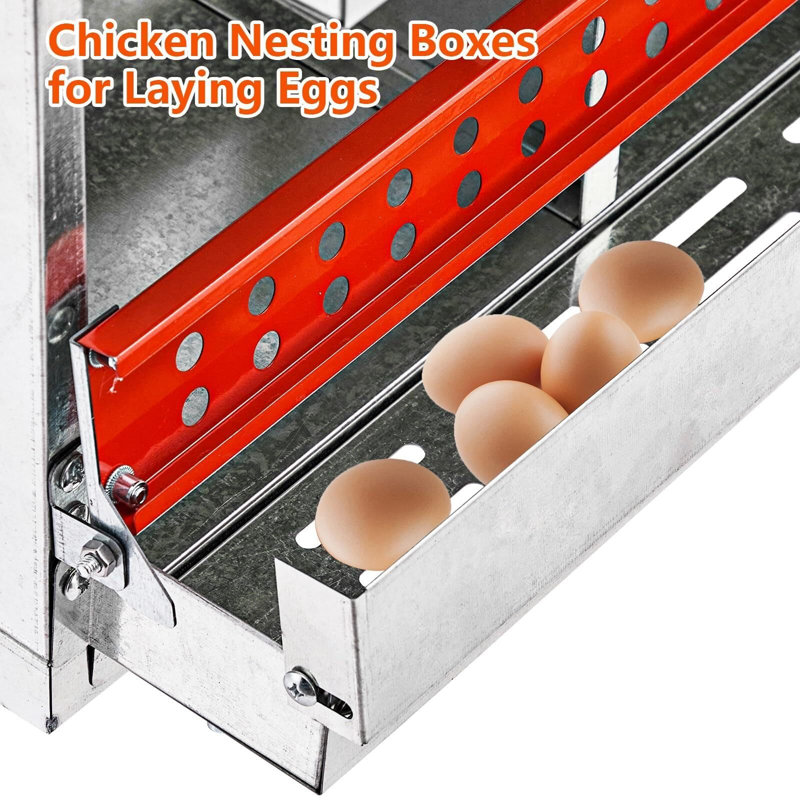 Archie & Oscar™ Stainless Steel Nesting Boxes For Chickens, 6 ...