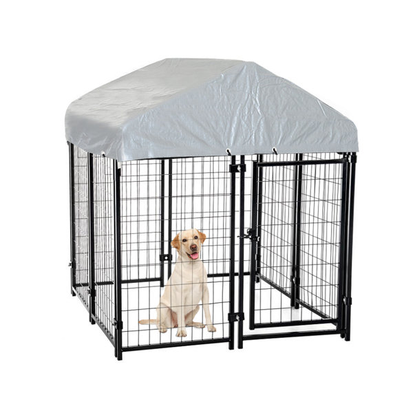 Pawhut 72'' H Metal Yard Kennel With Pet Door & Reviews | Wayfair