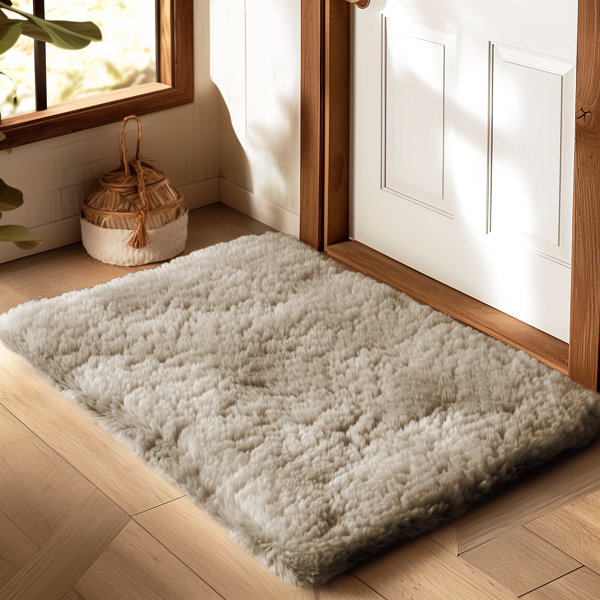 Mercer41 Kaytrin Kai Light Brown Fluffy Shag Rug & Reviews - Wayfair Canada