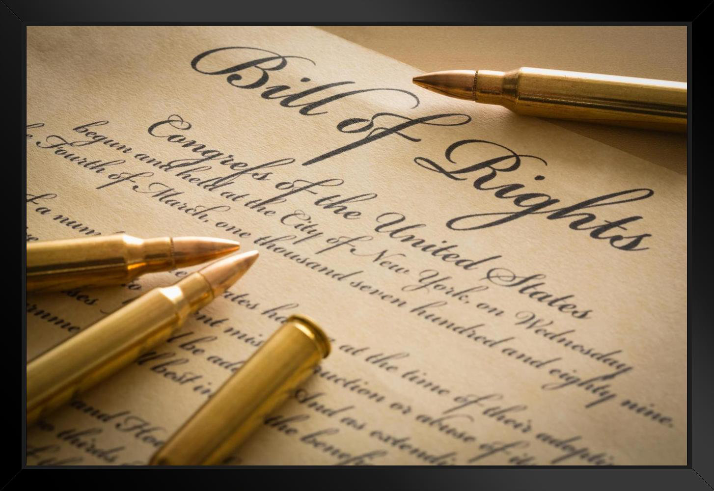 Trinx Bill Of Rights Wall Poster Historical Poster Us America Patriotic ...