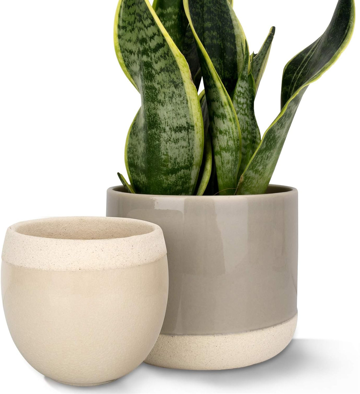 Latitude Run® Trenia Ceramic Pot Planter | Wayfair