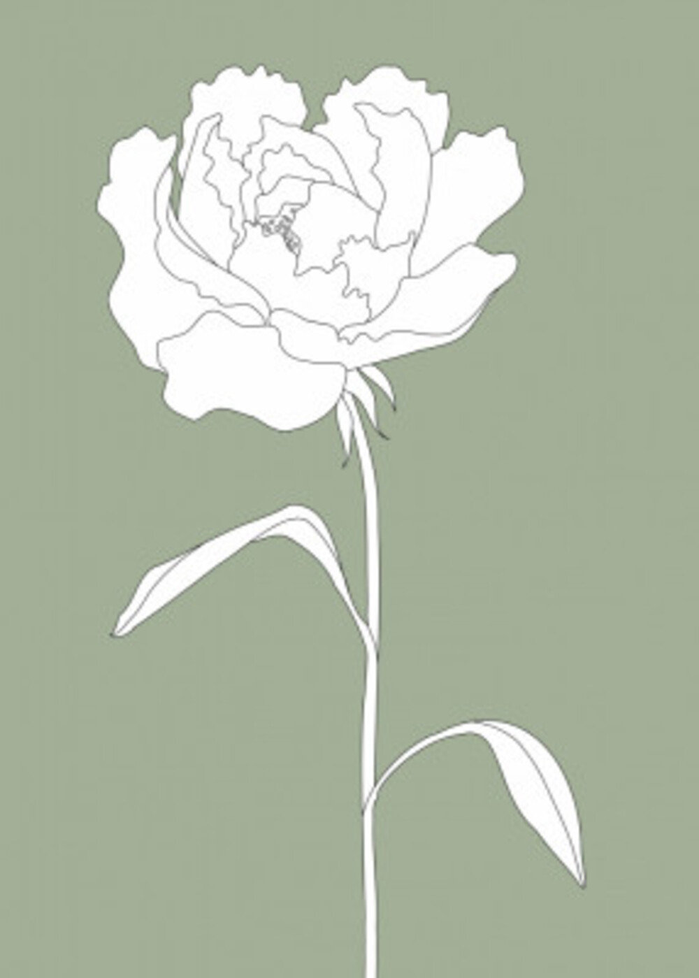 Lark Manor Rose in Green | Wayfair.co.uk