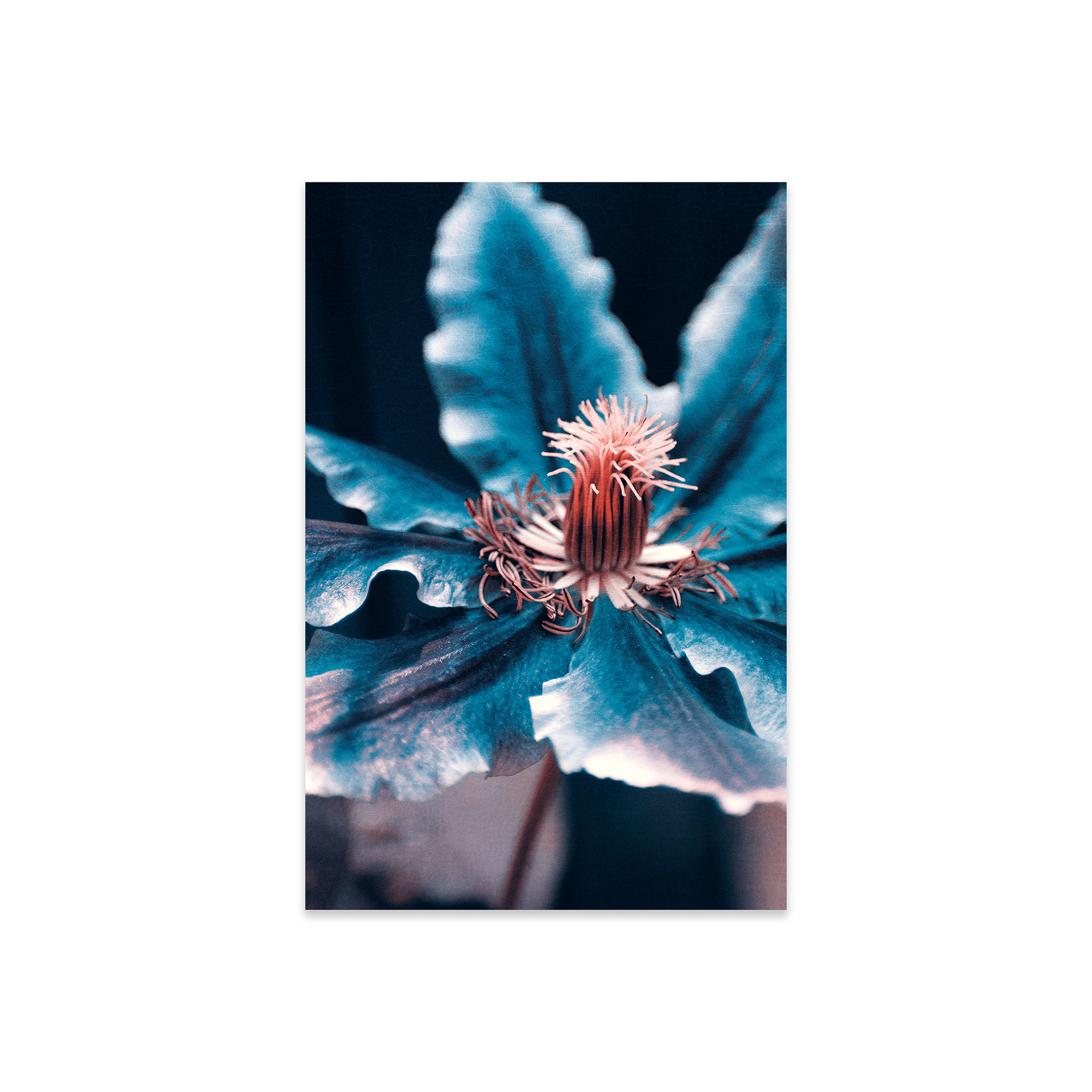 Ebern Designs Deep Blue Print On Acrylic Glass | Wayfair