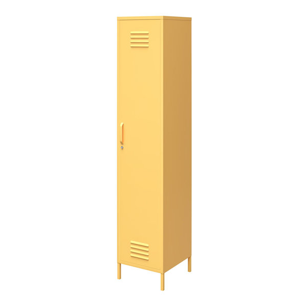 Novogratz Cache 1-Door Tall Single Metal Locker Style Storage & Reviews ...