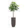 Vintage Home 79'' Faux Sycamore Tree in Pot & Reviews | Wayfair