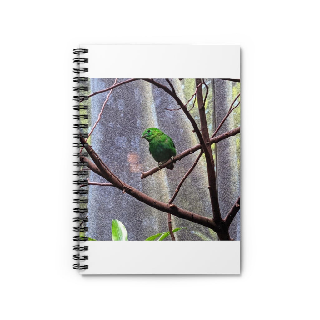 Marick Booster Bird Spiral Notebook | Wayfair