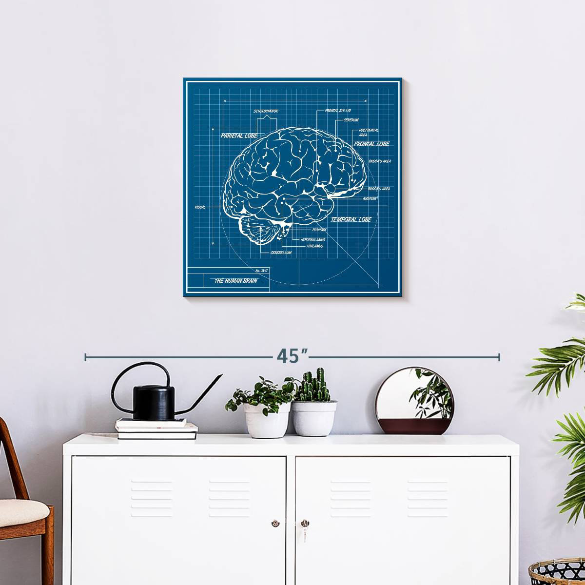Elephant Stock Human Brain Blueprint | Wayfair