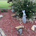 Design Toscano Big Burly Bunny Rabbit 2 Piece Statue Set & Reviews ...