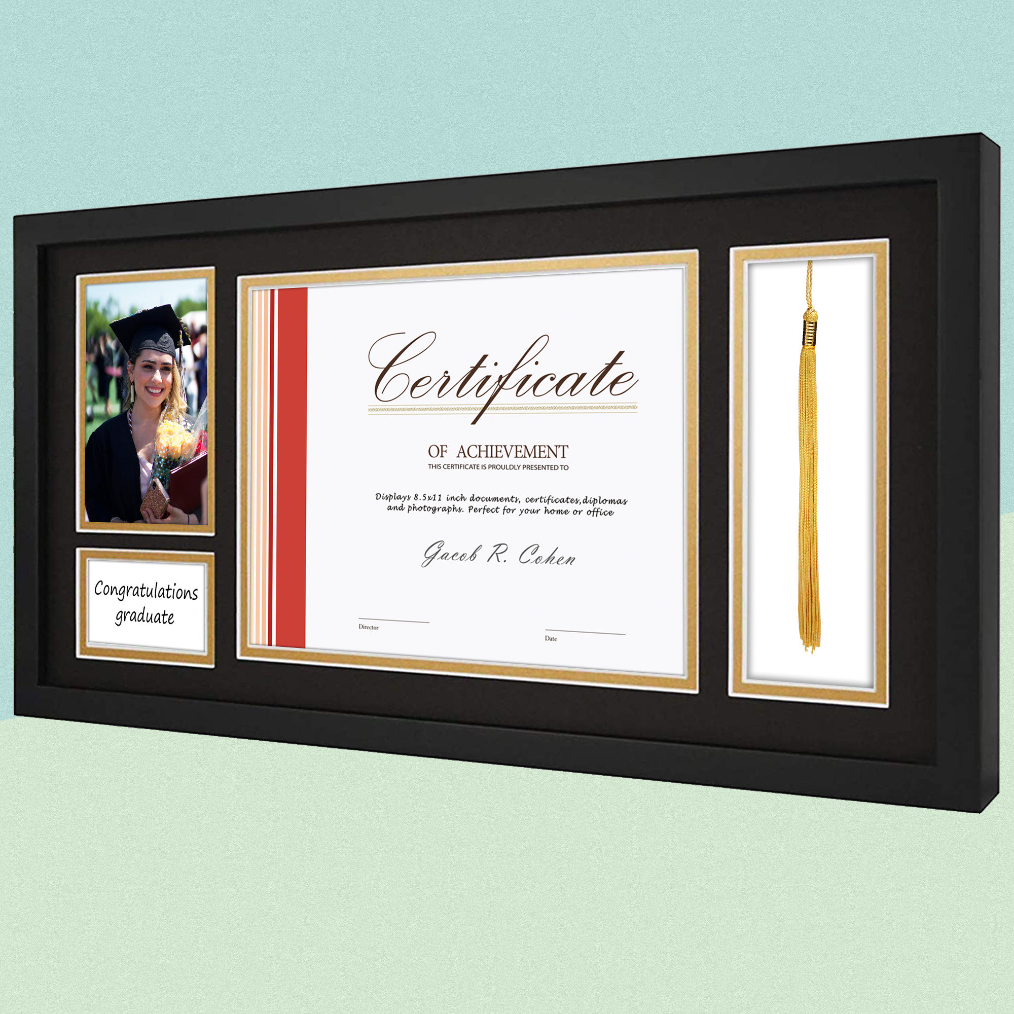 Latitude Run® Matte Black 11x12 Wood Diploma Picture Frame | Wayfair