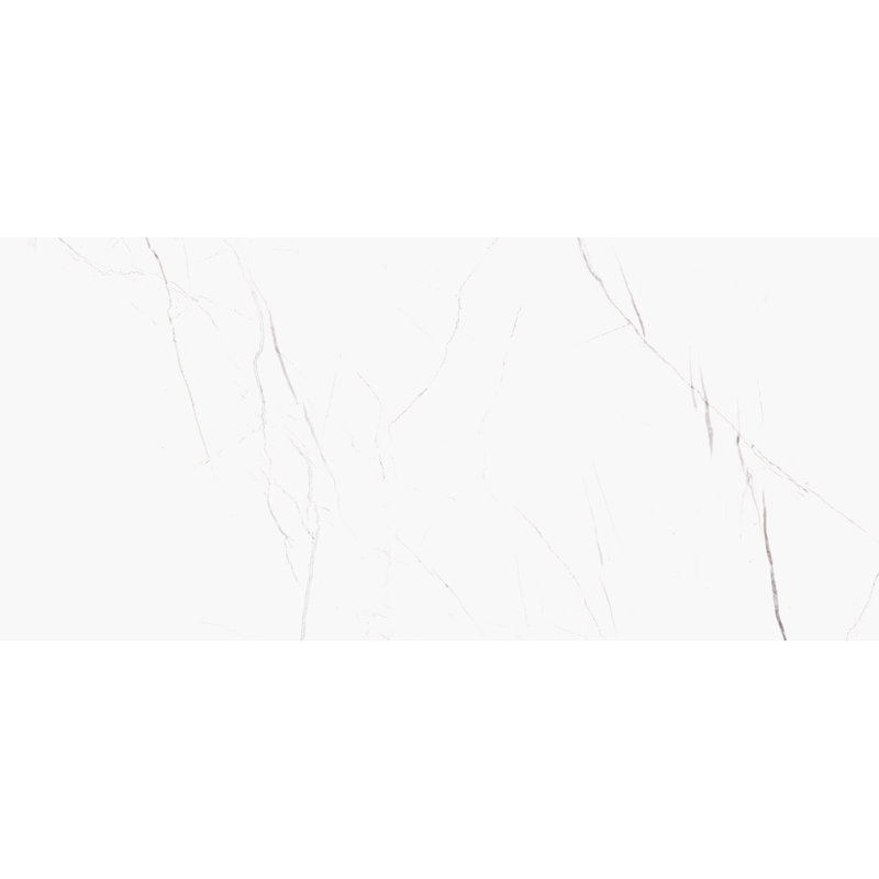 Bella Via Barbados 12" x 24" Porcelain Field Tile | Wayfair