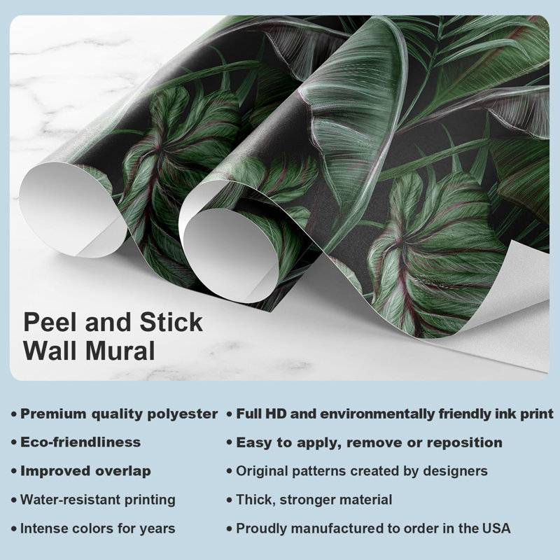 IDEA4WALL Peel & Stick Border | Wayfair