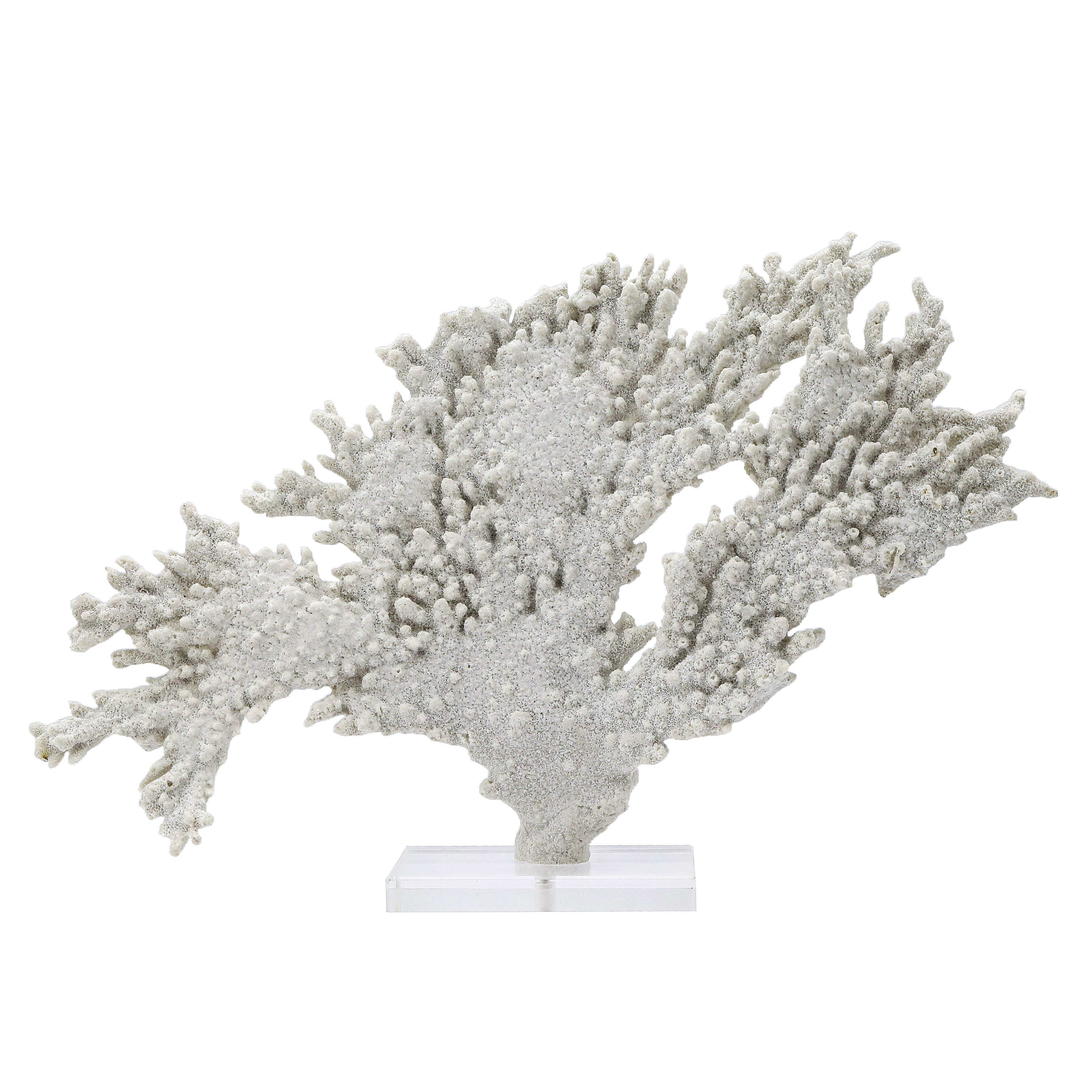 Zentique Off-white Resin Coral On Acrylic Base | Perigold