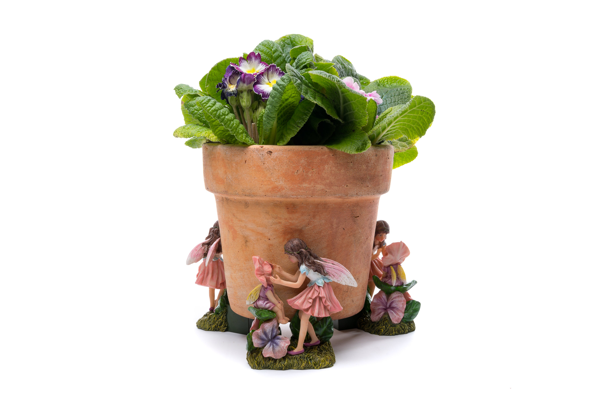 Jardinopia Flower Fairies Sweet Pea Fairy Coloured Planter Feet In Gift ...