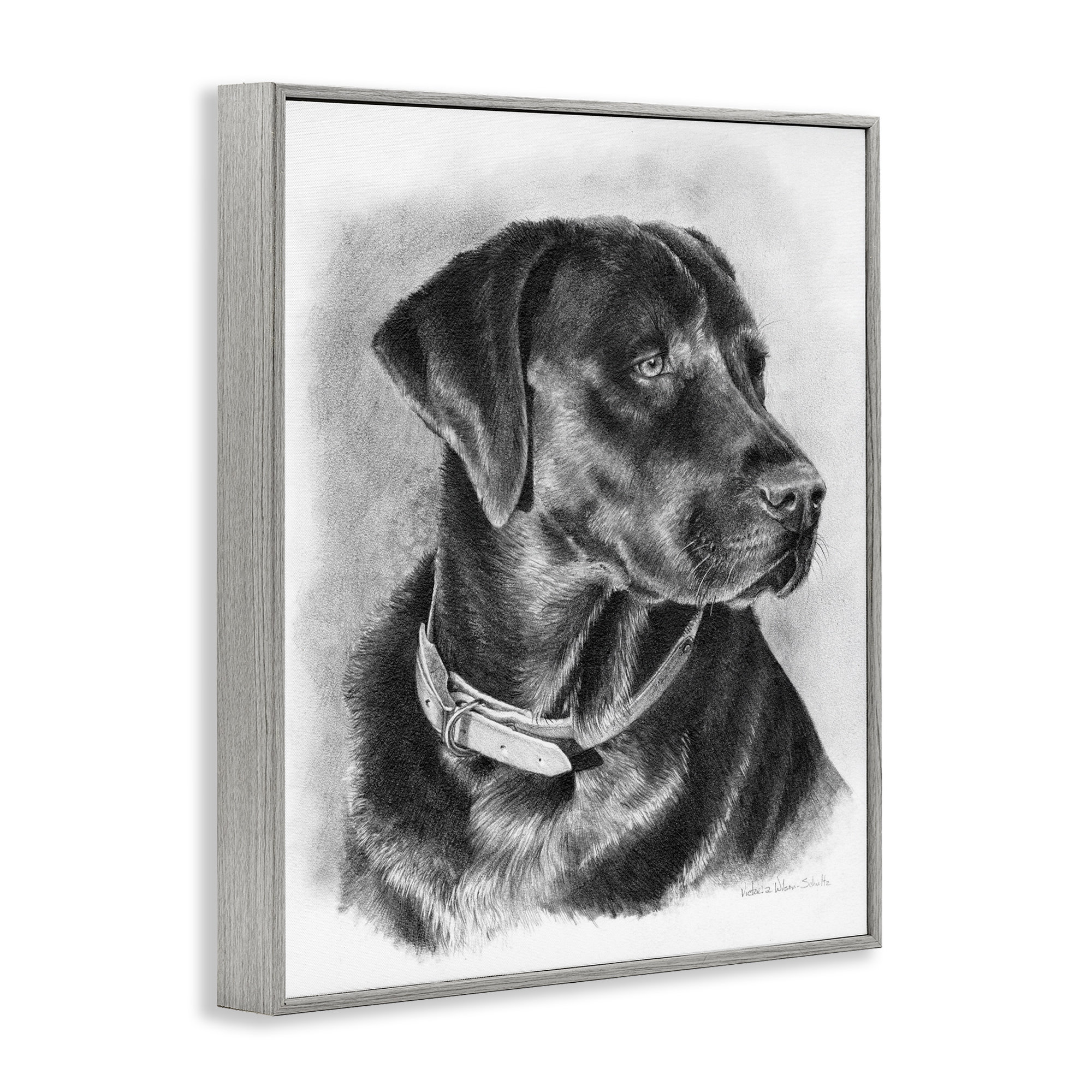 Winston Porter Black Lab Drawing Giclee Art by Victoria Schultz | Wayfair