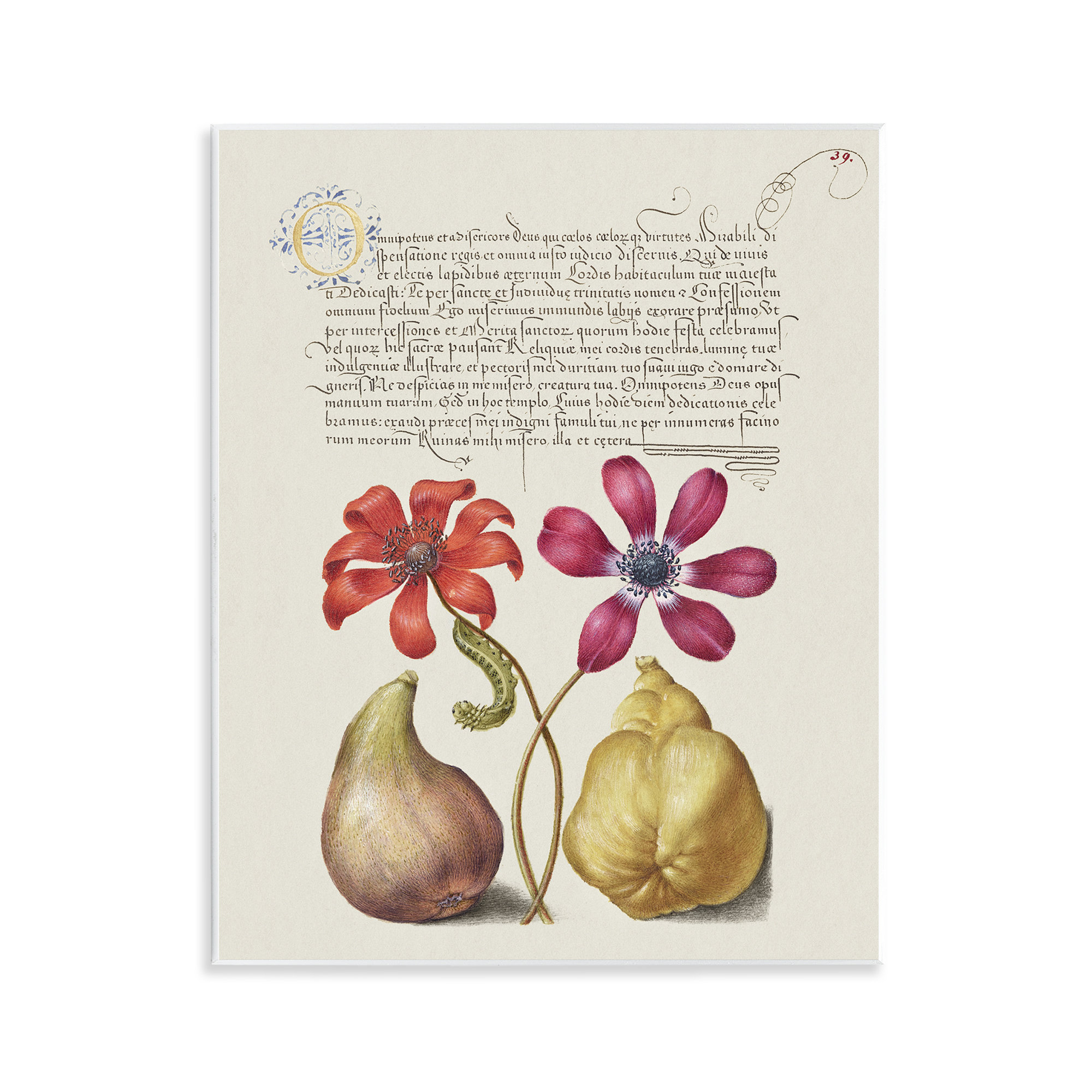 Union Rustic Vintage Nature Page Wall Plaque Art by Grace Popp | Wayfair