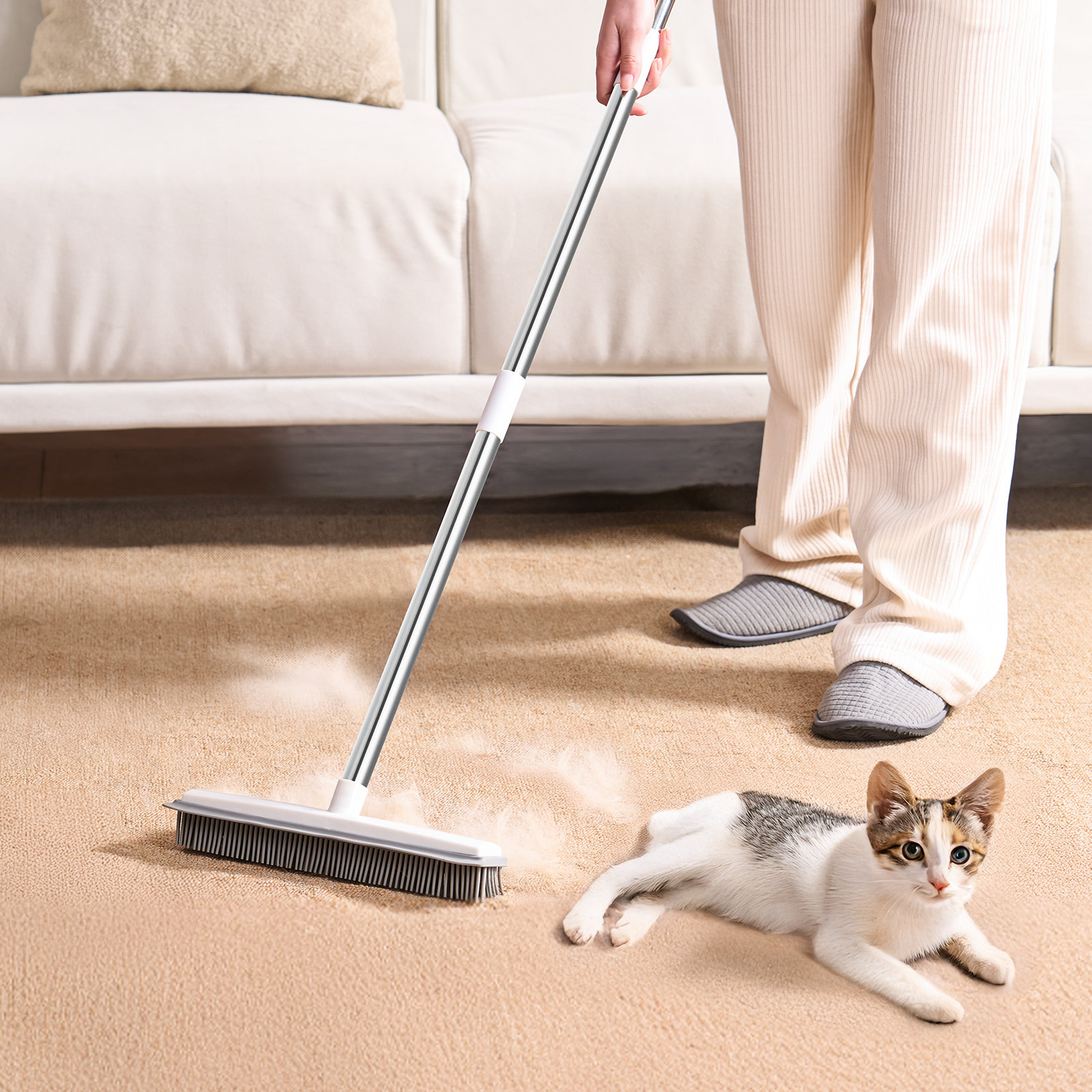 Stellweilan Tessberg Pet Hair Removal Broom Adjustable Long Handle Pet ...