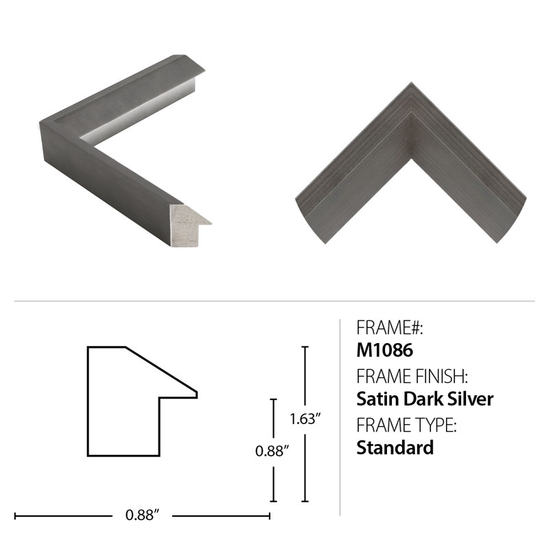 Lillian August Overlapping Color 3' Framed Graphic Art Print on Glass ...