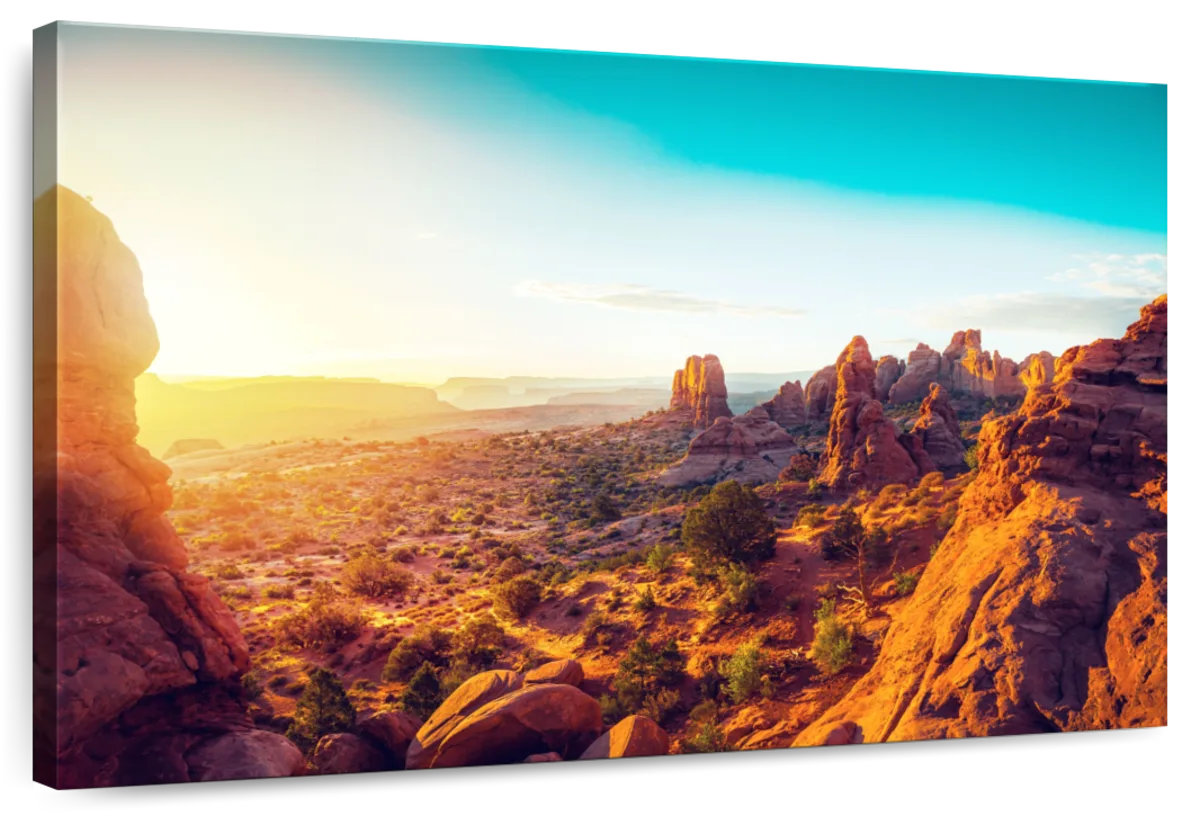 Millwood Pines Alvord North Window Arch Desert | Wayfair