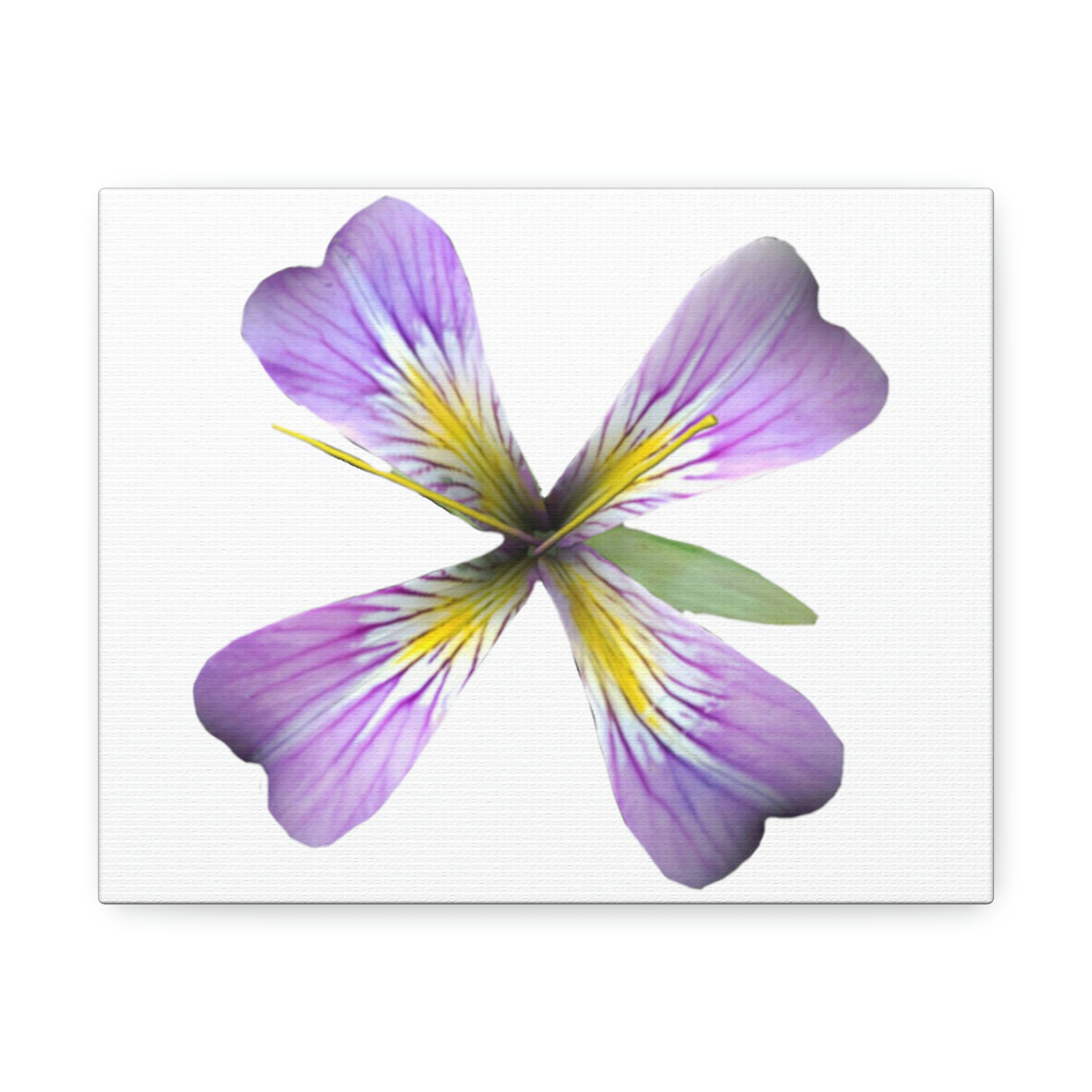 Latitude Run® Purple Flower by Kelly Johnson - Wrapped Canvas Graphic ...