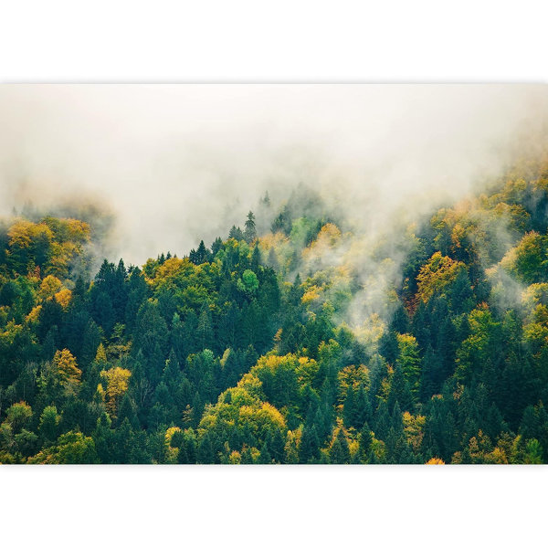 IDEA4WALL Peel & Stick Clear Wall Mural | Wayfair